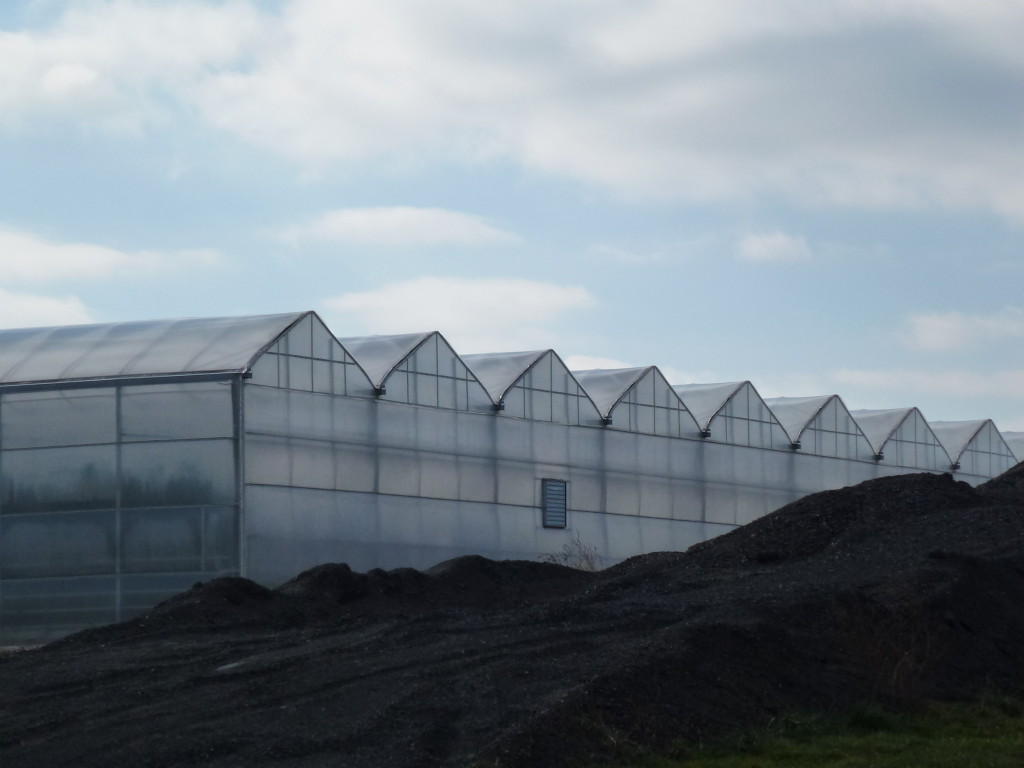 Greenhouse Gab | Let’s get growing!
